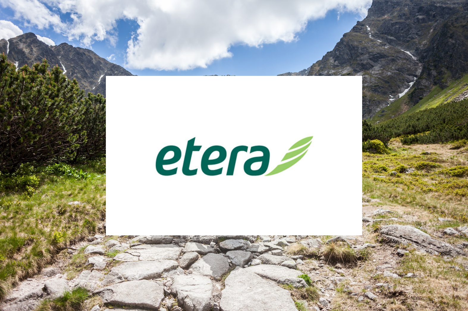 Assessment Case Story: Etera IT development agilification | Tuotejohtaminen